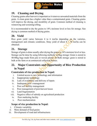 Rice Production | Complete Rice Cultivation | PDF