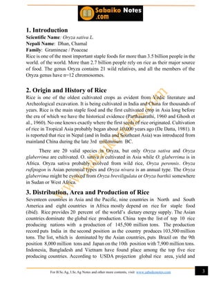 Rice Production | Complete Rice Cultivation | PDF
