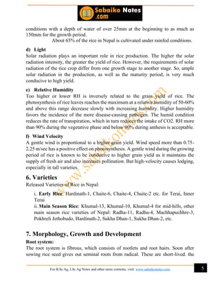 Rice Production | Complete Rice Cultivation | PDF