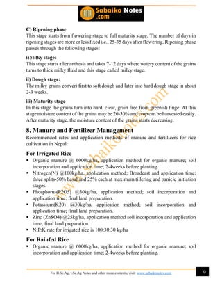 Rice Production | Complete Rice Cultivation | PDF