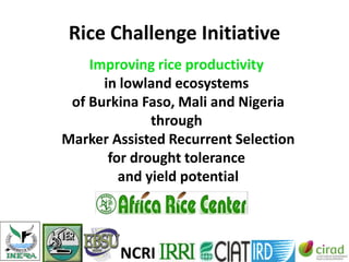 GRM 2011: Rice Research Initiative progress report | PDF