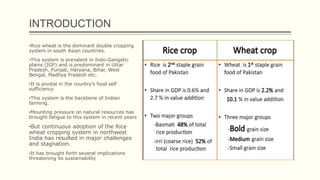 Rice-Wheat cropping system, its prevalence and its presentation.pptx