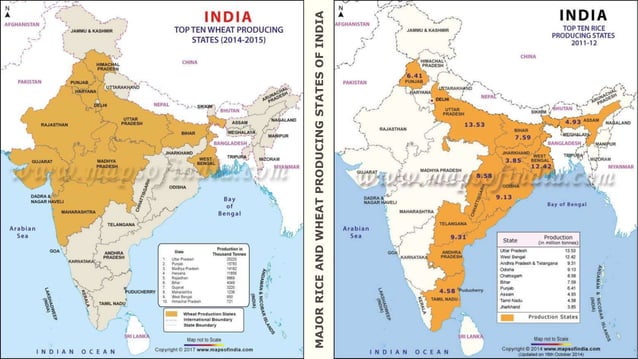 Rice-Wheat cropping system, its prevalence and its presentation.pptx ...