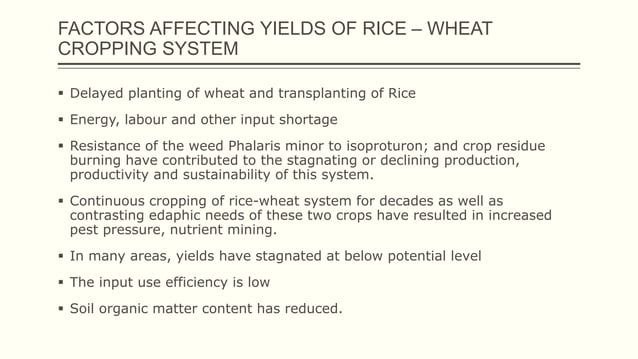 Rice-Wheat cropping system, its prevalence and its presentation.pptx | Agriculture | Industries