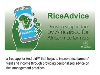 RiceAdvice | PDF