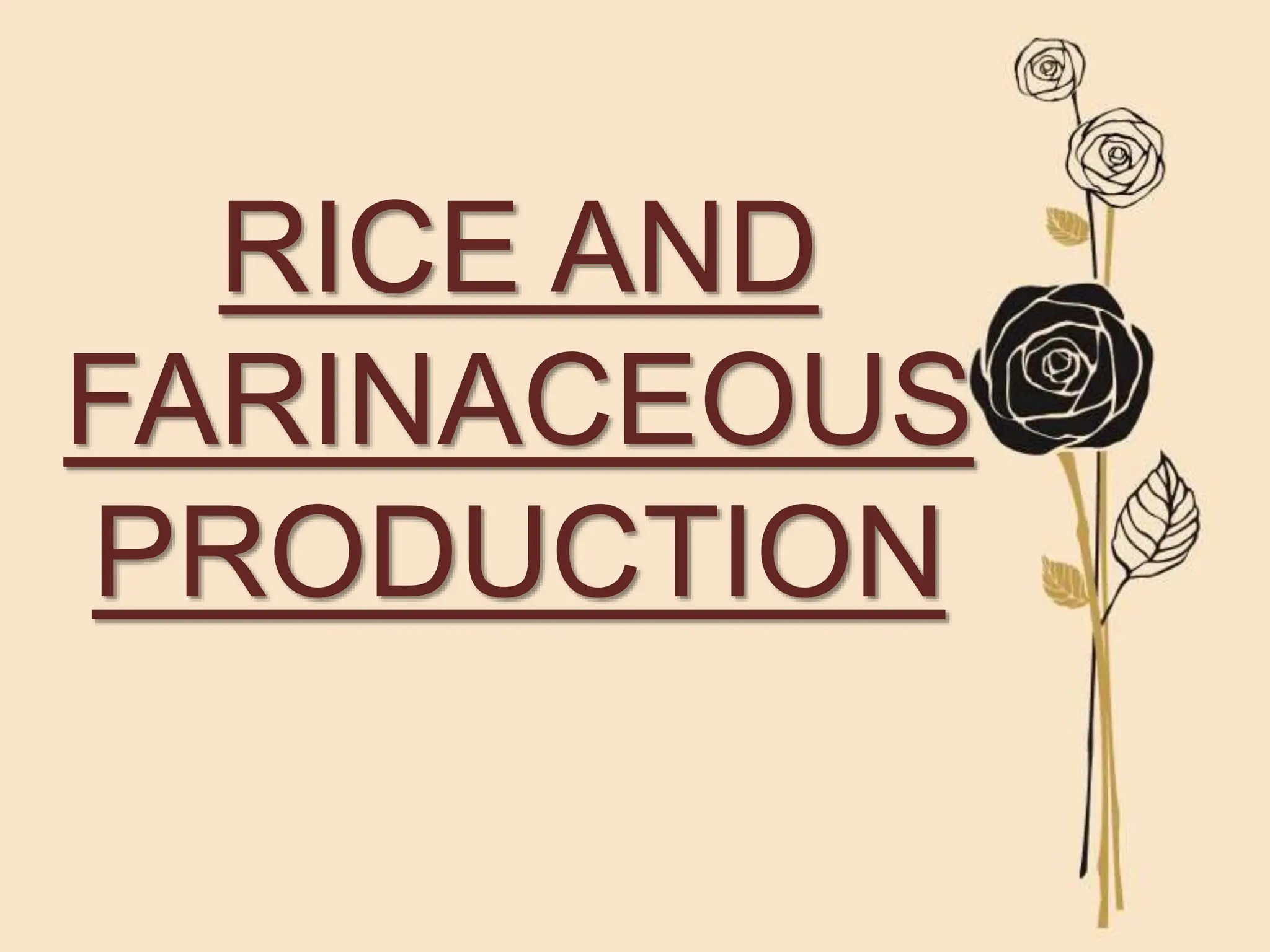 rice and farinaceous. PENYEDIAAN DAN PEBUATAN MAKANAN | PPT