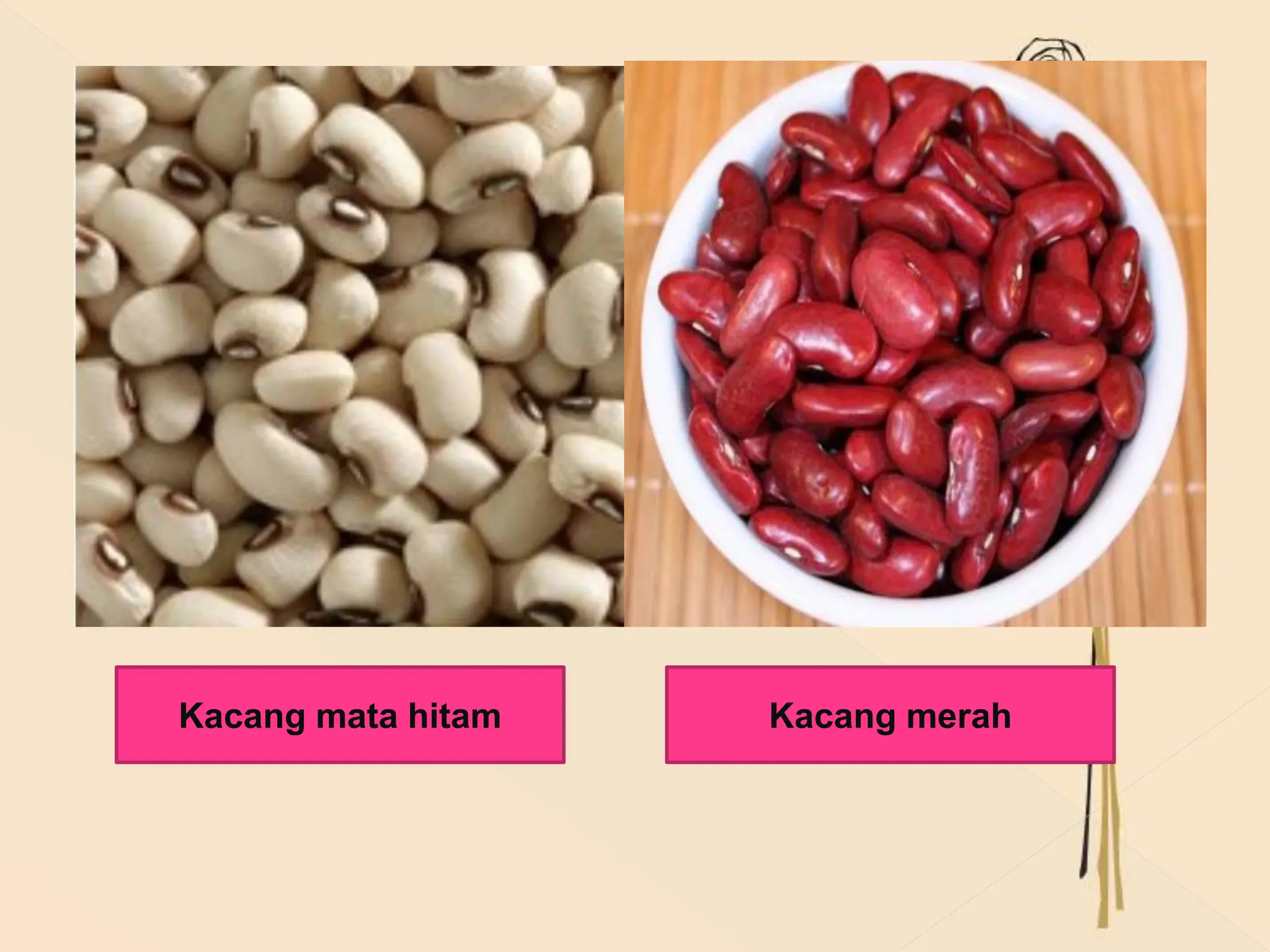 rice and farinaceous. PENYEDIAAN DAN PEBUATAN MAKANAN | PPTX