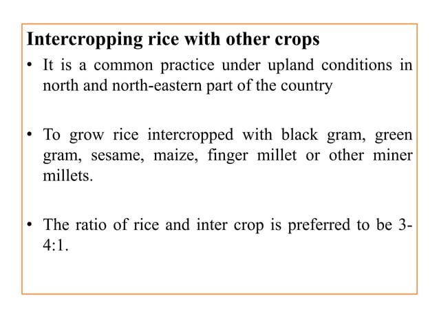 Rice based cropping system | PPTX | Agriculture | Industries