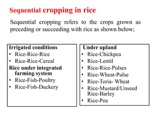 Rice based cropping system | PPTX