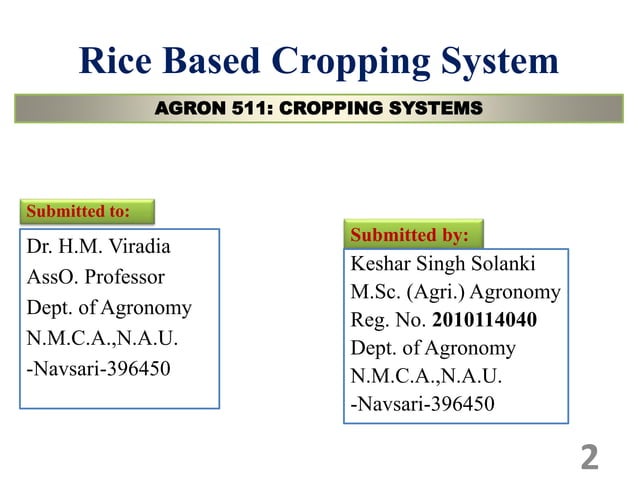 Rice based cropping system | PPTX | Agriculture | Industries