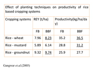Rice based cropping system | PPTX