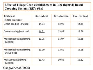 Rice based cropping system | PPTX