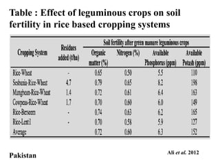 Rice based cropping system | PPTX