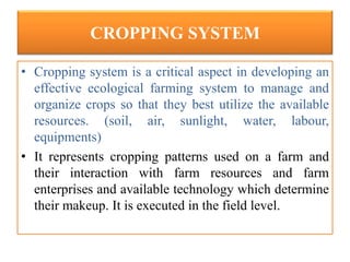 Rice based cropping system | PPTX