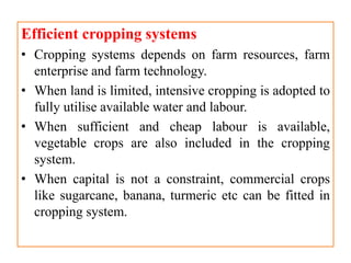 Rice based cropping system | PPTX