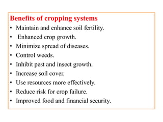 Rice based cropping system | PPTX
