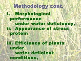 Rice biotechnology | PPT
