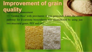Rice biotechnology | PPTX