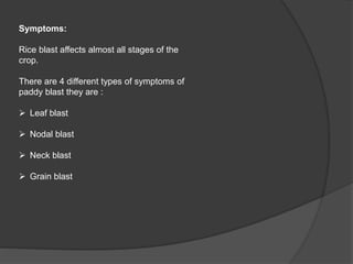 Rice blast and its integrated management.pptx