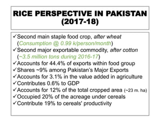Rice Breeding in pakistan | PDF