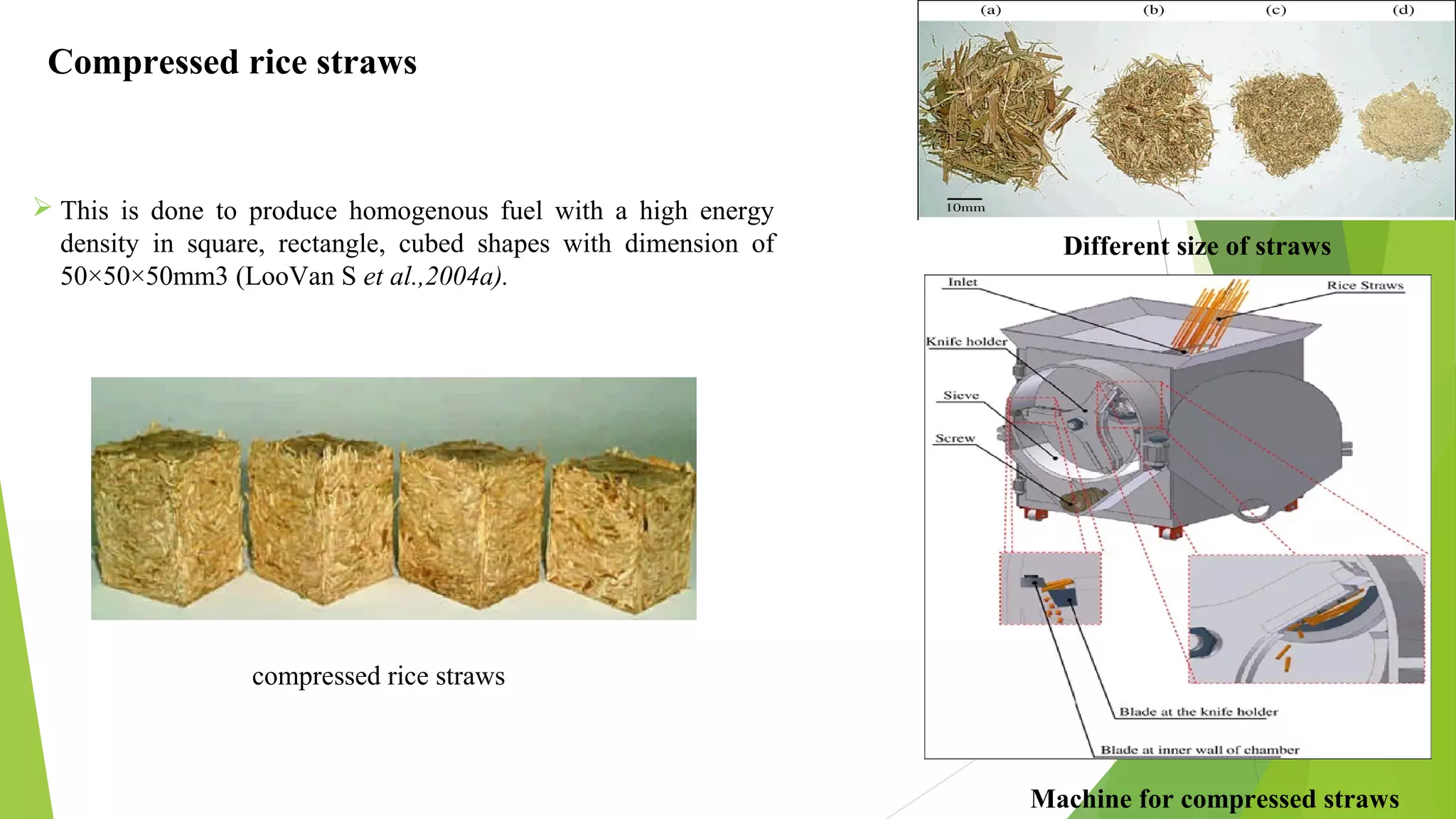 Rice by product | PPT