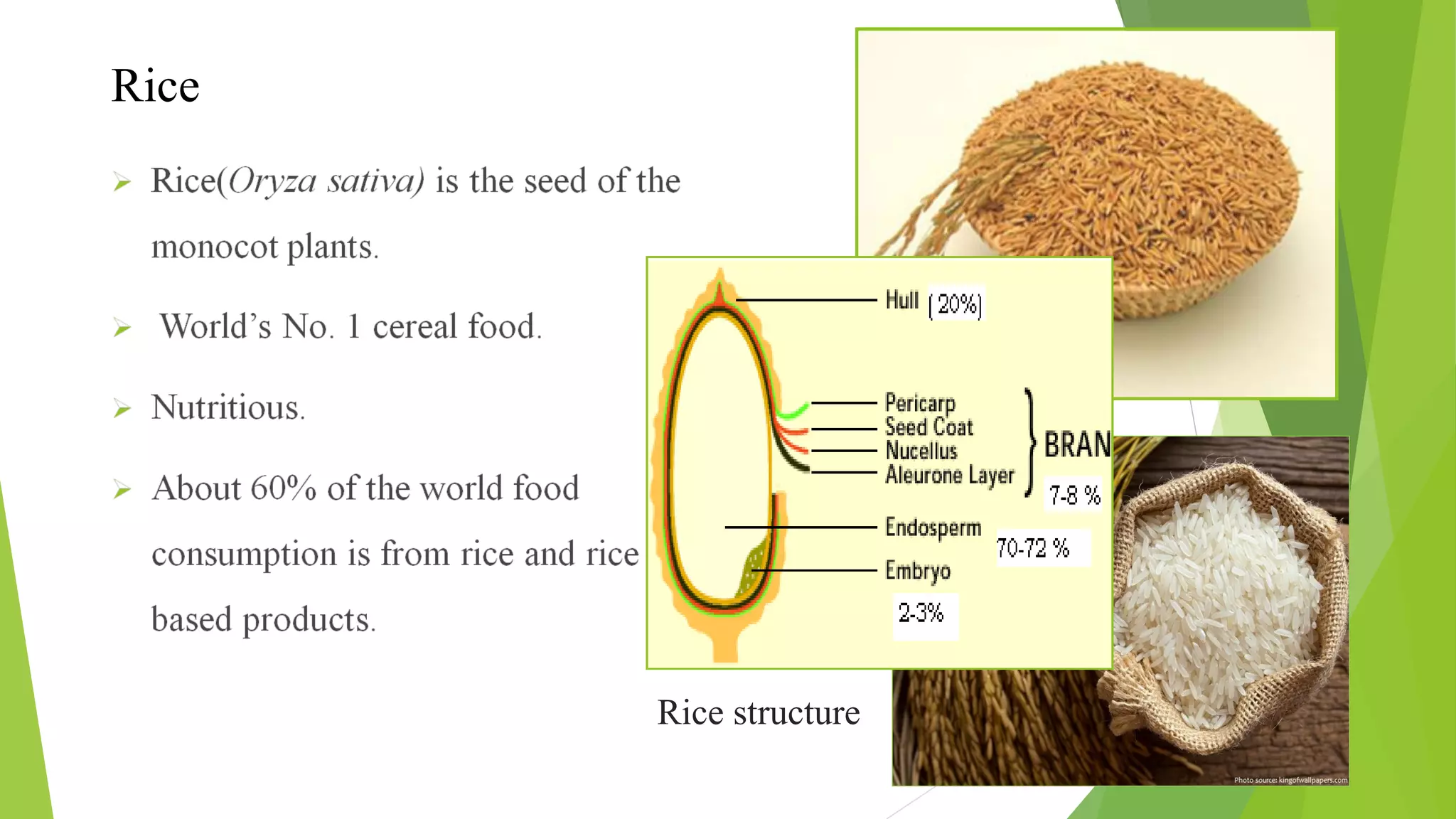 Rice by product | PPT