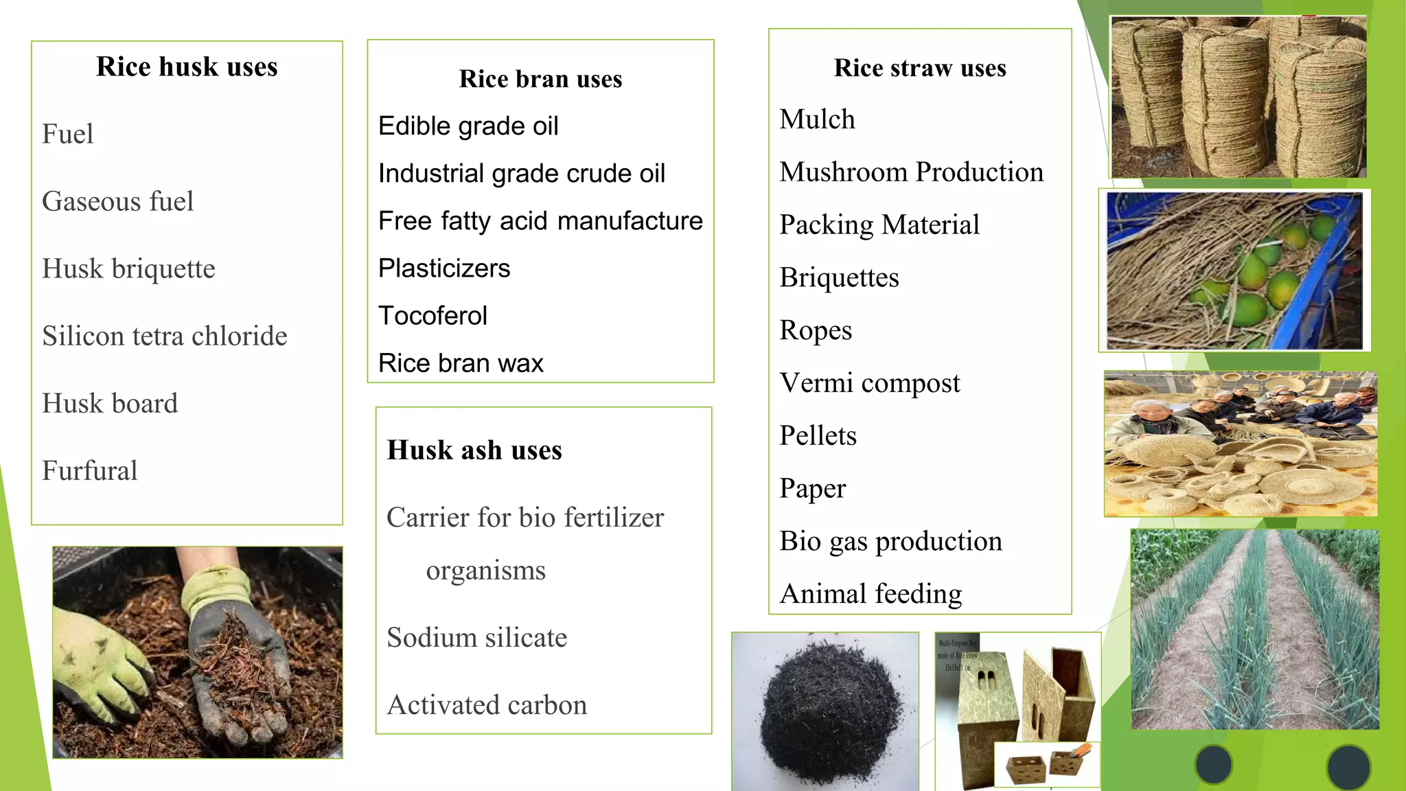 Rice by product | PPT