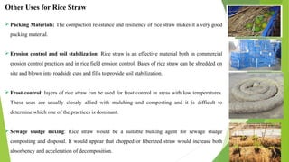 Rice by product | PPT