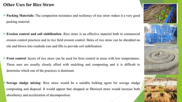 Rice by product | PPT