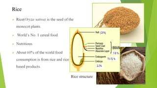 Rice by product | PPT
