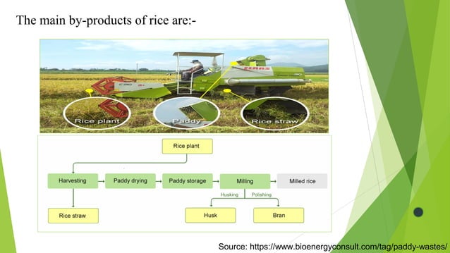 Rice by product | PPT