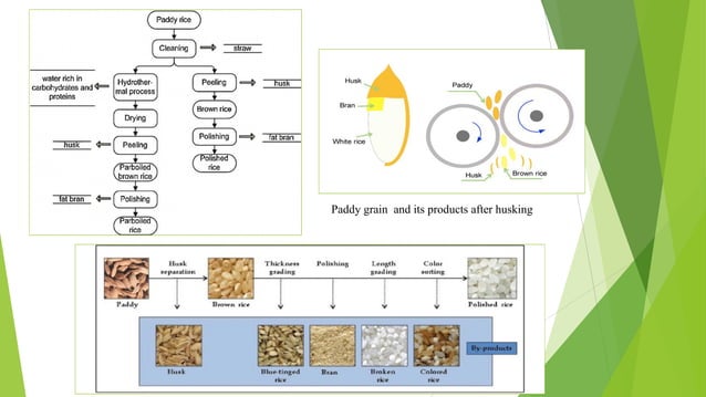 Rice by product | PPT