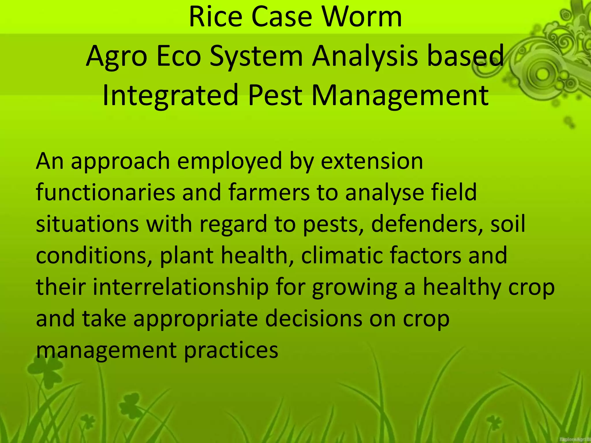 Rice case worm | PPTX