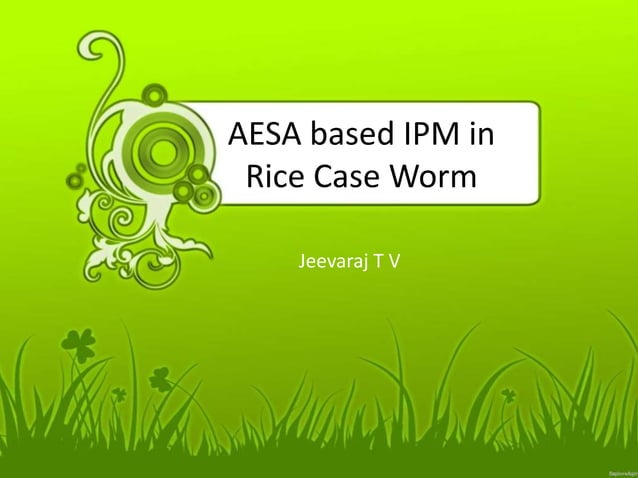 Rice case worm | PPTX | Agriculture | Industries