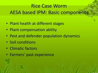 Rice case worm | PPTX
