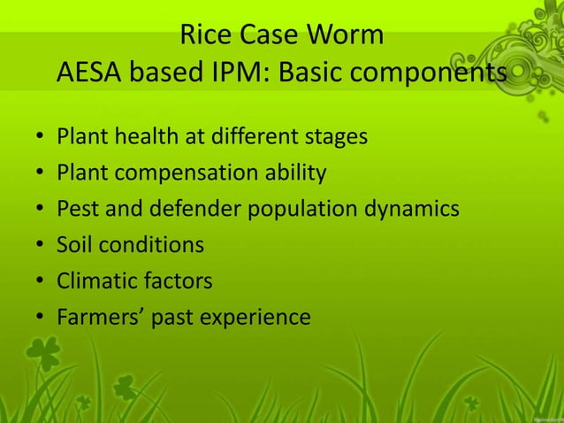 Rice case worm | PPTX | Agriculture | Industries