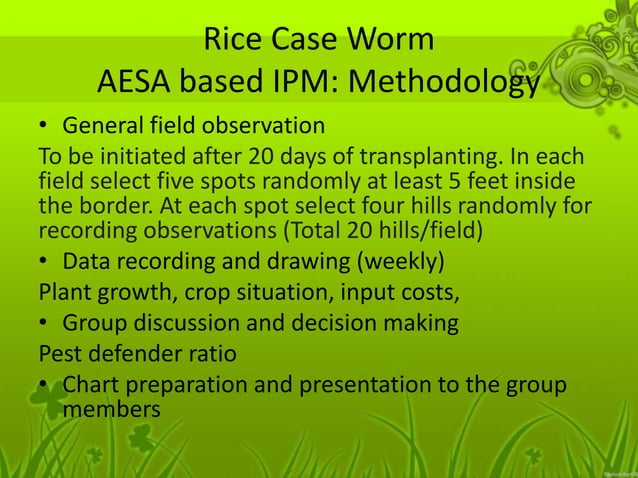 Rice case worm | PPTX | Agriculture | Industries