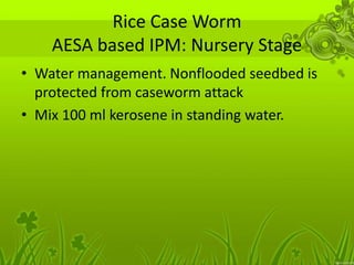 Rice case worm | PPTX