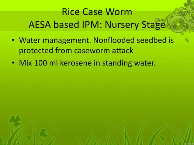 Rice case worm | PPTX | Agriculture | Industries