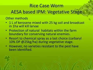 Rice case worm | PPTX
