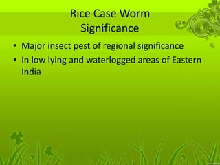 Rice case worm | PPTX