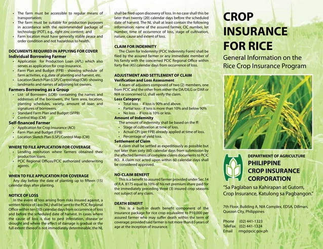 Rice crop | PPT