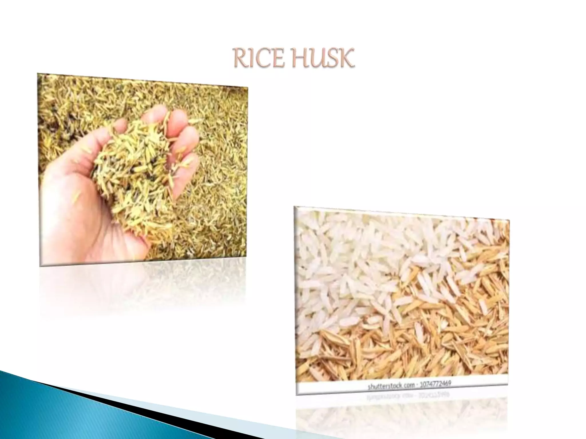 RICE Crop by products.pptx