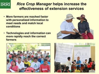 Rice Crop Manager: Innovative ICT Approach for Food Security | PDF