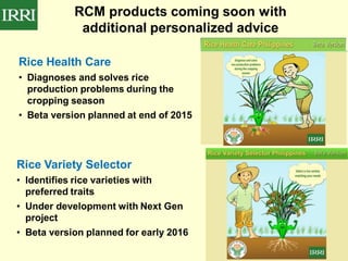 Rice Crop Manager: Innovative ICT Approach for Food Security | PDF