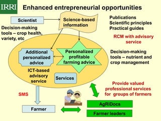 Rice Crop Manager: Innovative ICT Approach for Food Security | PDF