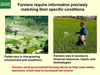 Rice Crop Manager: Innovative ICT Approach for Food Security | PDF