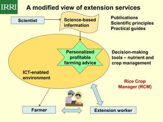 Rice Crop Manager: Innovative ICT Approach for Food Security | PDF