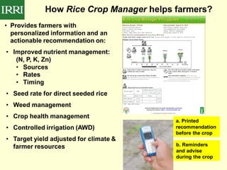 Rice Crop Manager: Innovative ICT Approach for Food Security | PDF