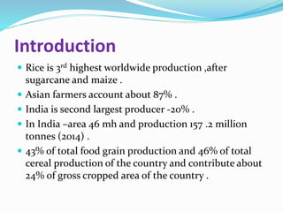 Rice cultivation | PPTX